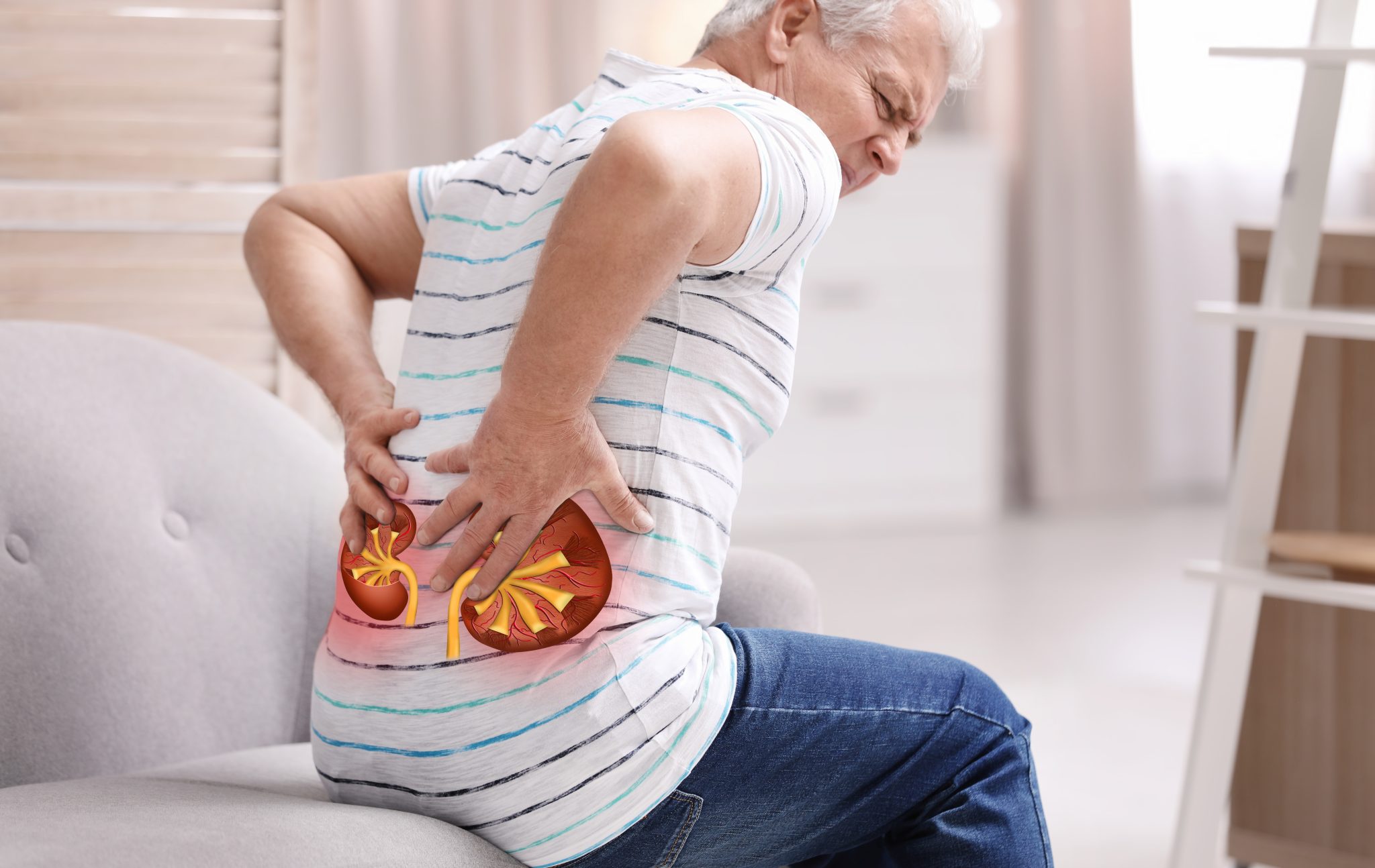 The Impact of Semaglutide on Kidney Function - Bmi Doctors