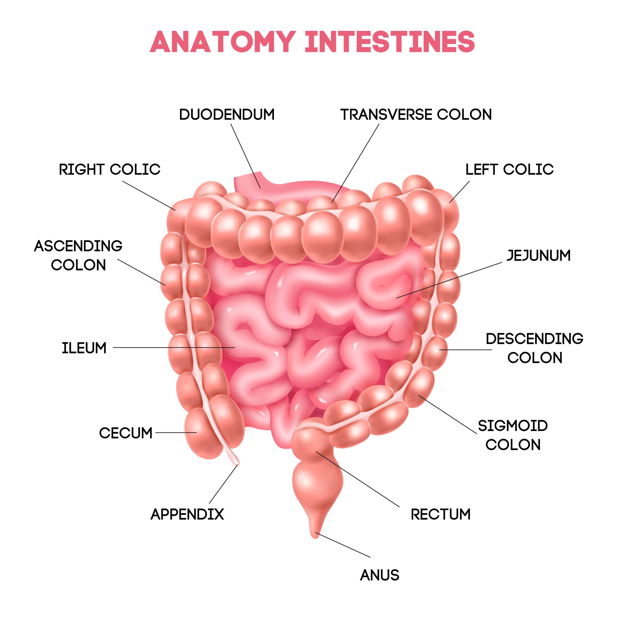 Semaglutide And Diverticulitis A Complete Overview Bmi Doctors