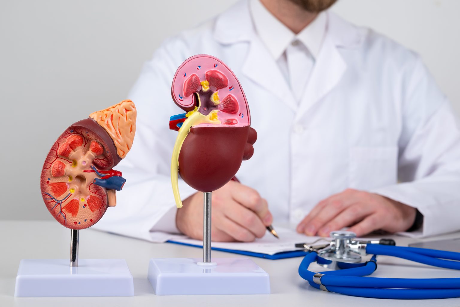 How Semaglutide Affects Your Kidneys: An In-Depth Guide - Bmi Doctors