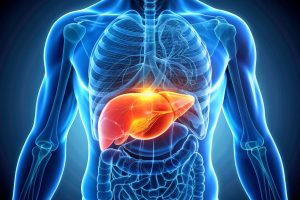 Understanding GLP-1 Function: A Comprehensive Guide to Its Role in ...