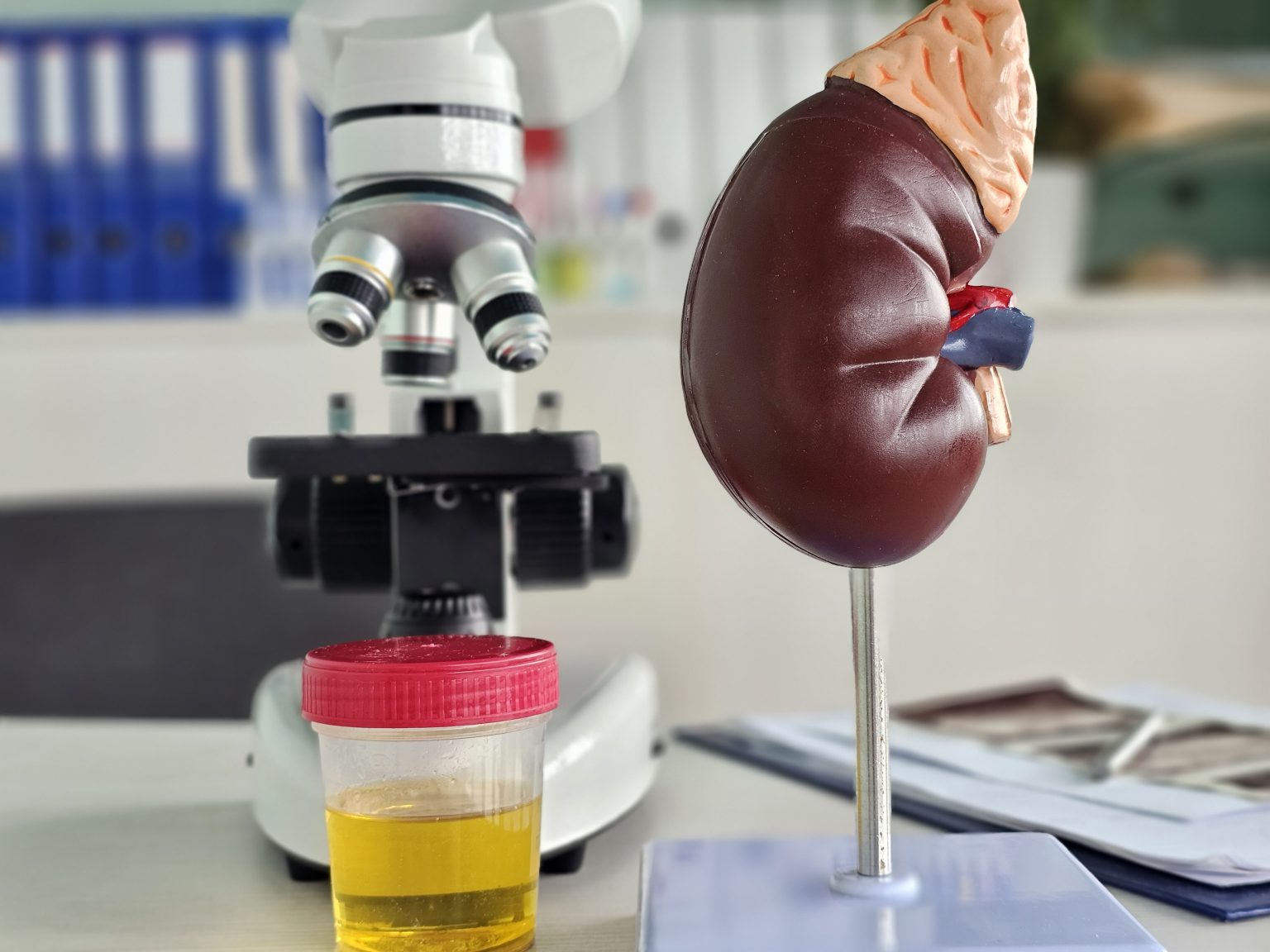 How Tirzepatide Affects the Kidneys: A Comprehensive Guide for Patients ...